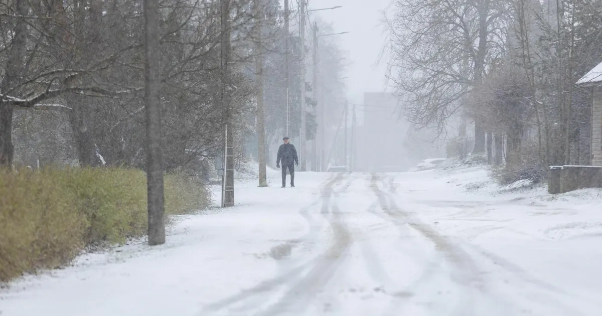 Lähipäevil sajab lund, lörtsi ja vihma
