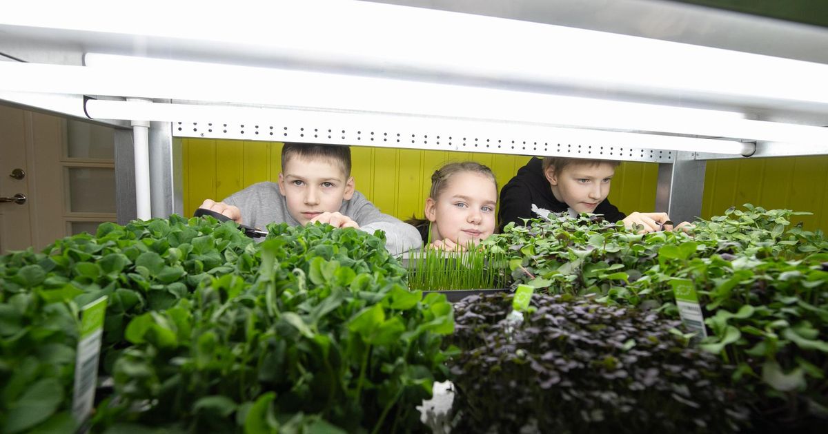 Uhtna põhikoolis kasvatatakse keskkonnateadlikke noori