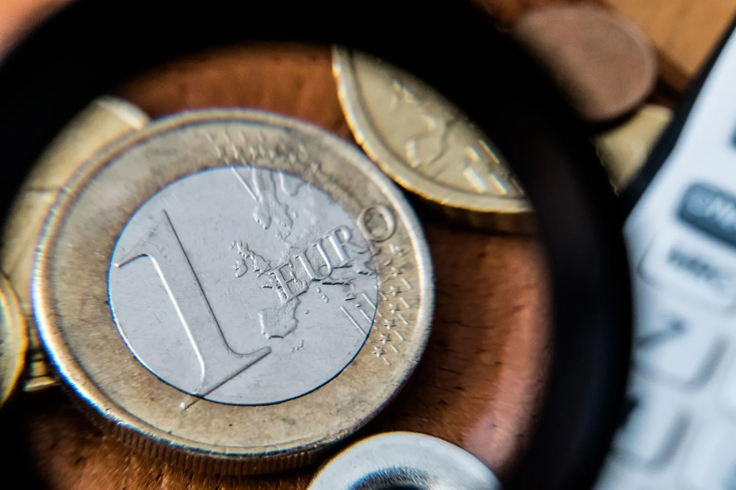 KADRI PAAS Eesmärgitu maksude tõstmise eksperimendi katsejänesed on ...