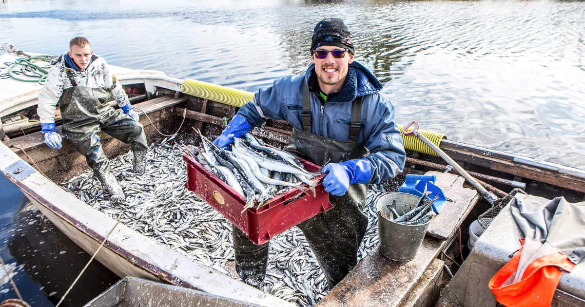 Kutselised kalurid peavad hakkama püügipäevikut elektrooniselt täitma