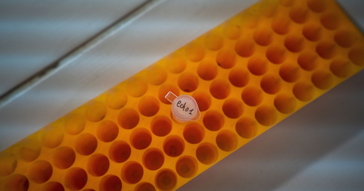 DNA-test paljastas Austraalia perepea tagaotsitava mõrvarina