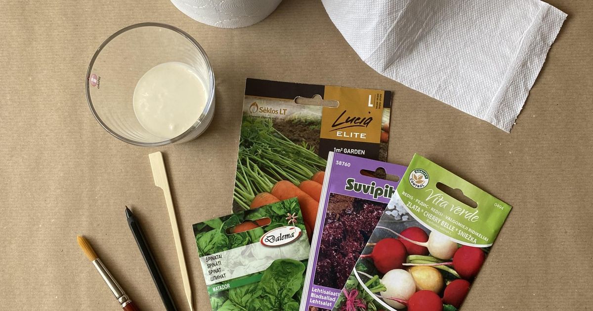 SEEMNED RITTA Kuidas ise valmistada seemnelinti?