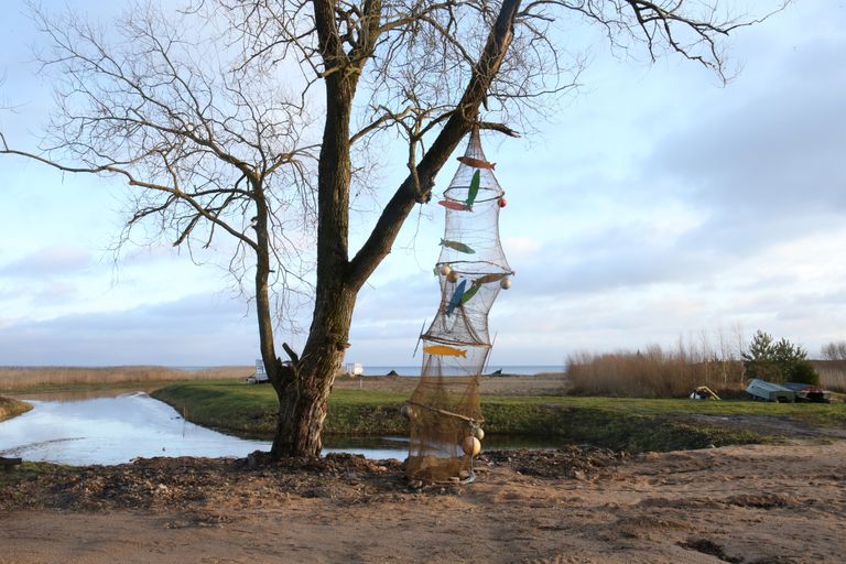 Fotouudis: Varnjas pandi jõulupuuks vana mõrd