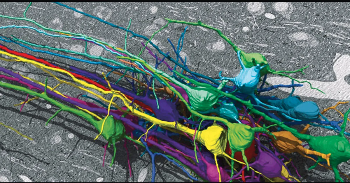 Ajumaailm lahti muugitud ja leitud uks uude universumisse: seninägematu ...