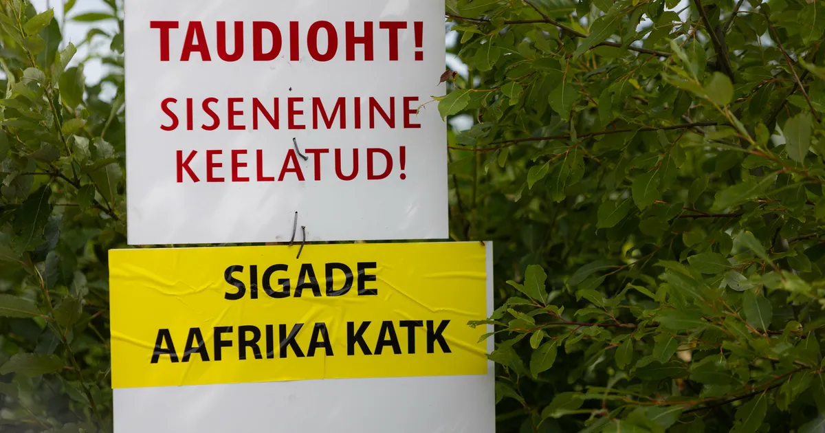 Sigade Aafrika katk jõuab järjest lähemale