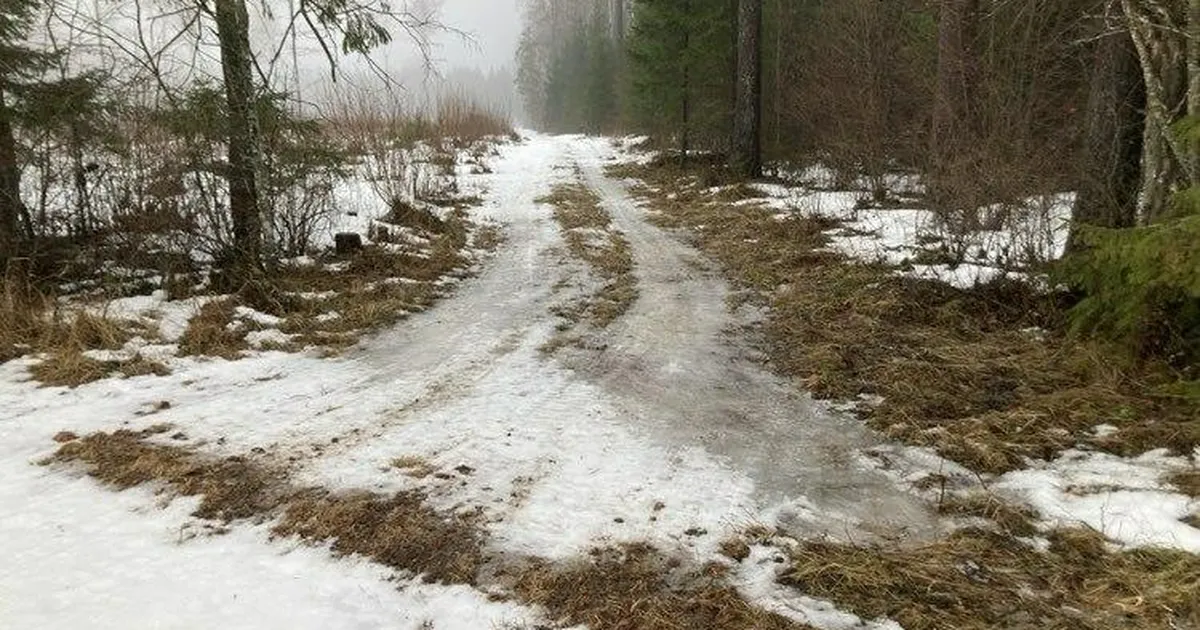 Tamsalu–Neeruti suusamaraton lükatakse kuu aega edasi