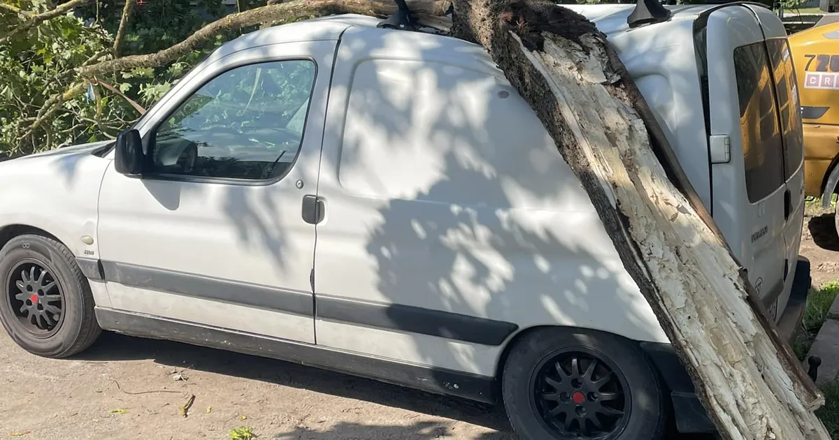 FOTO Tormituulele alla jäänud vahtrapuu lömastas kaubiku