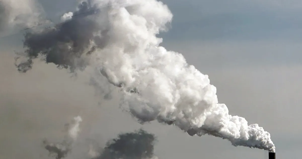 Pöördumine riigikogu poole: põhiõiguste piiramine ja olmelised ...