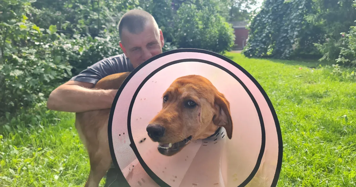 INTERVJUU Heiki Valner vaprast Vuntsist: paljud ei uskunud, et temast ...