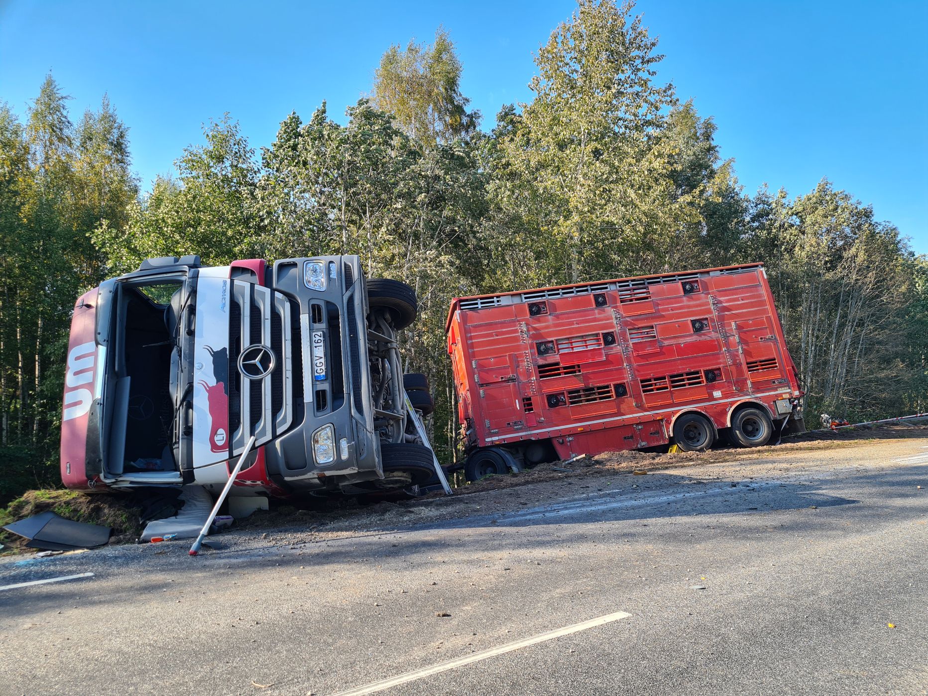 FOTOD Valgamaal sõitis kraavi veiseid vedanud veok