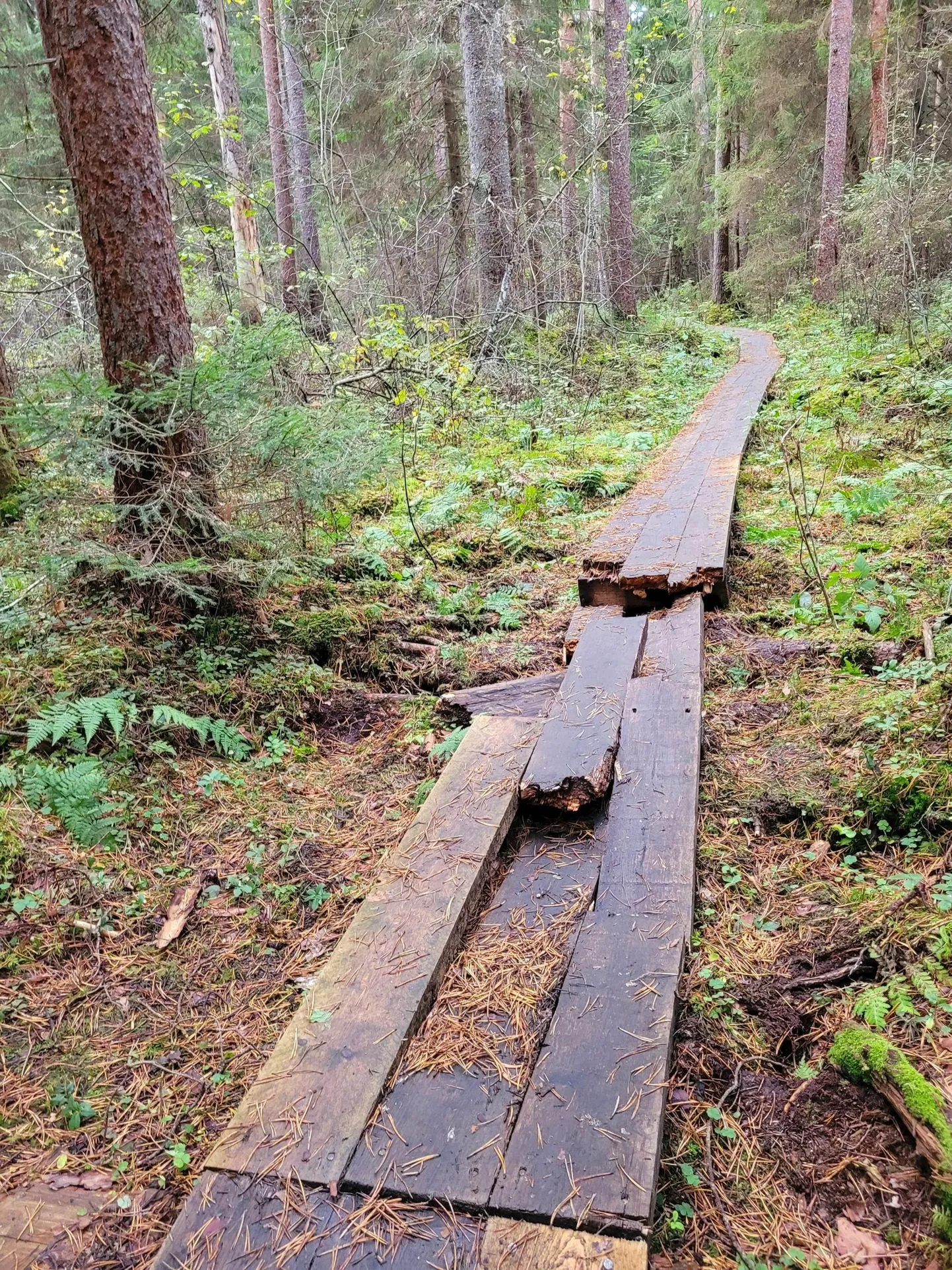 Hüpassaare matkarada on mitu kuud suletud