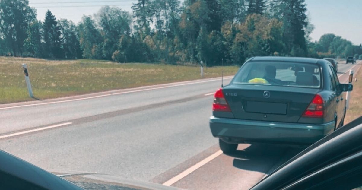 Viimsis eakat naist petta üritanud Rumeenia mehed peavad riigist lahkuma