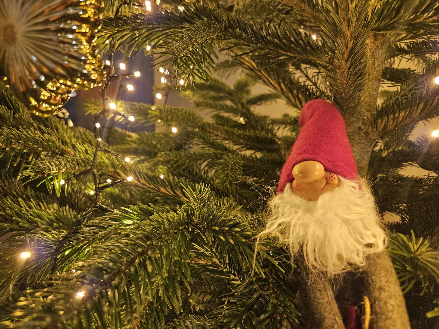 LUULEABI Pärnumaa lapsed mõtlesid välja 188 jõululuuletust