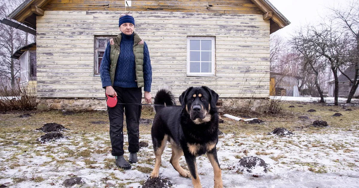 Surnud imiku leidnud koera perenaine: ta pani järsku hirmsa hooga talu ...