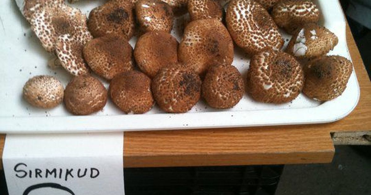 Turul müüdud mürgised seened põhjustavad seedehäireid