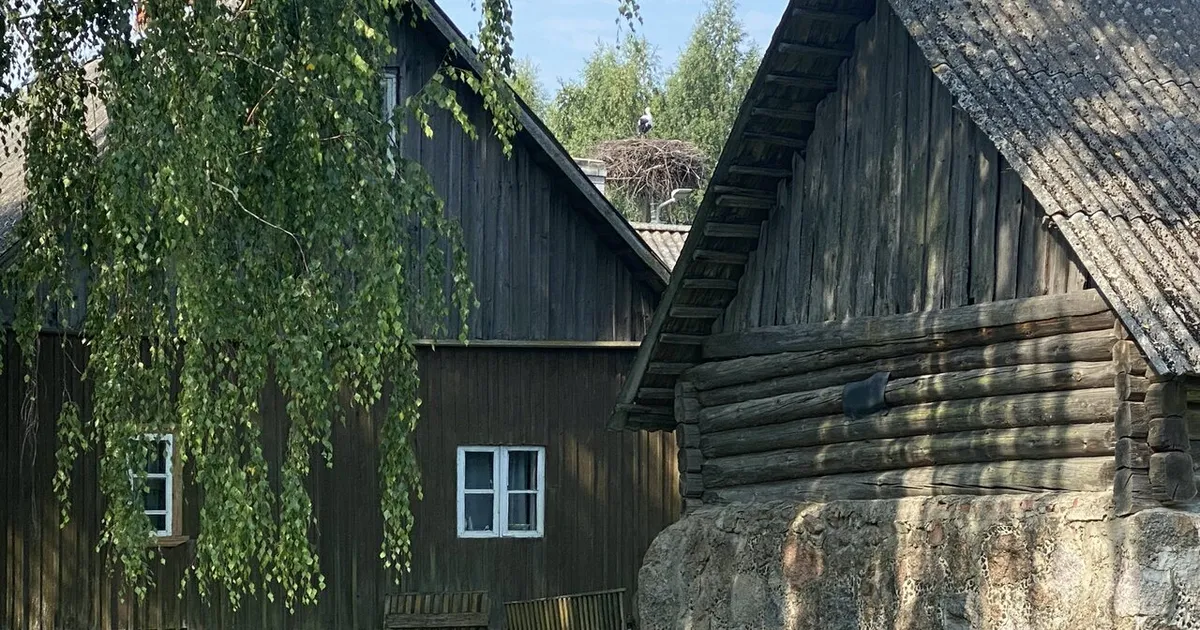 HARV PAKKUMINE Ehe setu talu Lüübnitsa külje all