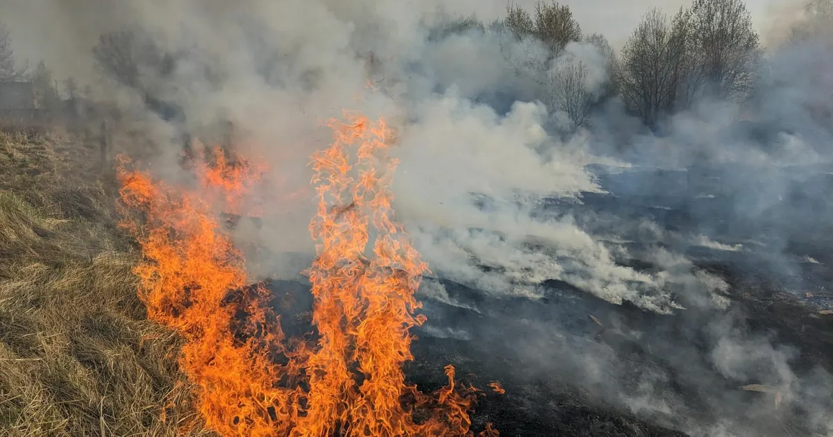 EESTIS ALGAS TULEOHTLIK AEG Looduses on keelatud lõkked, grillimine ja ...