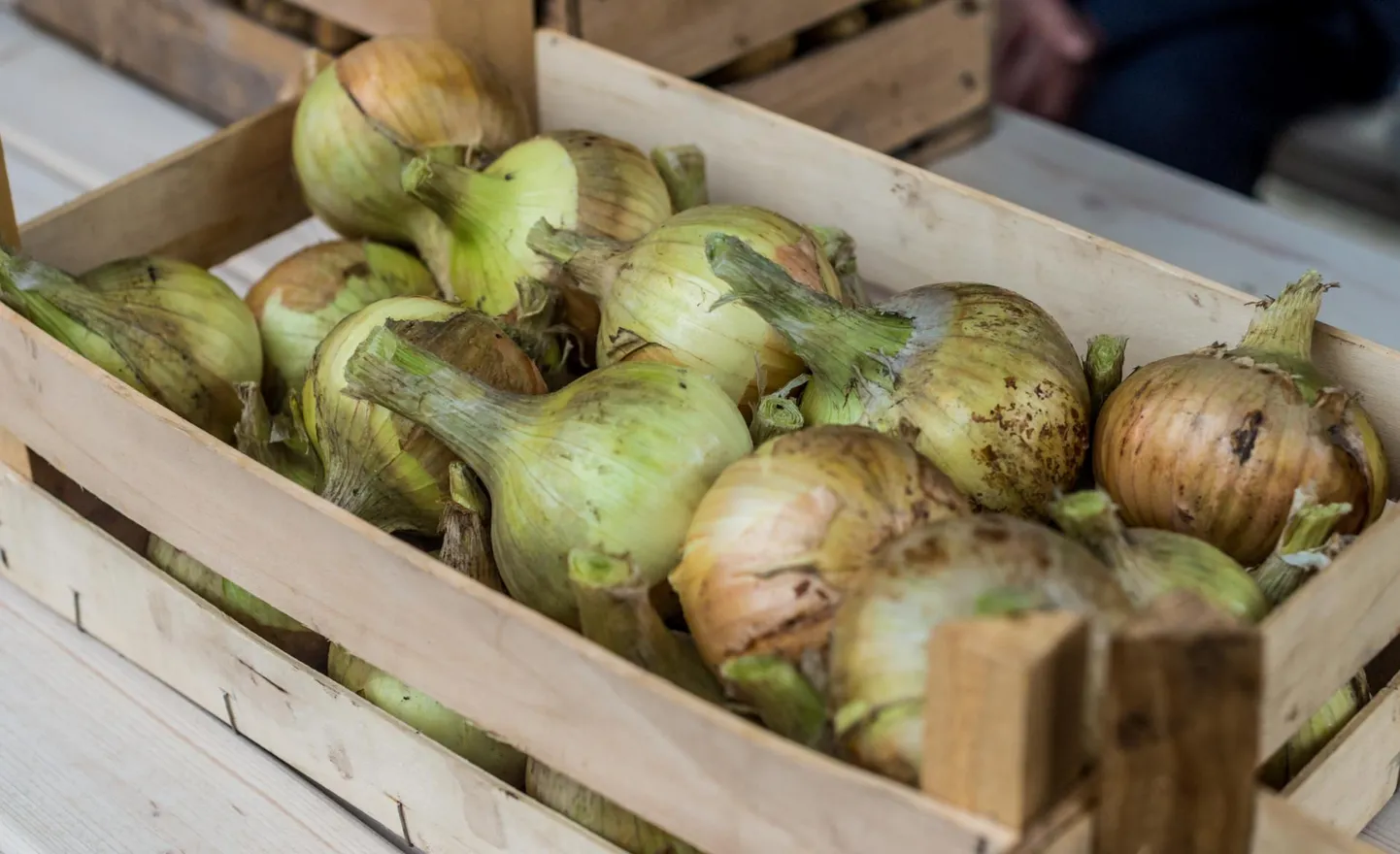 Eismal käivitatakse OTT-i turg