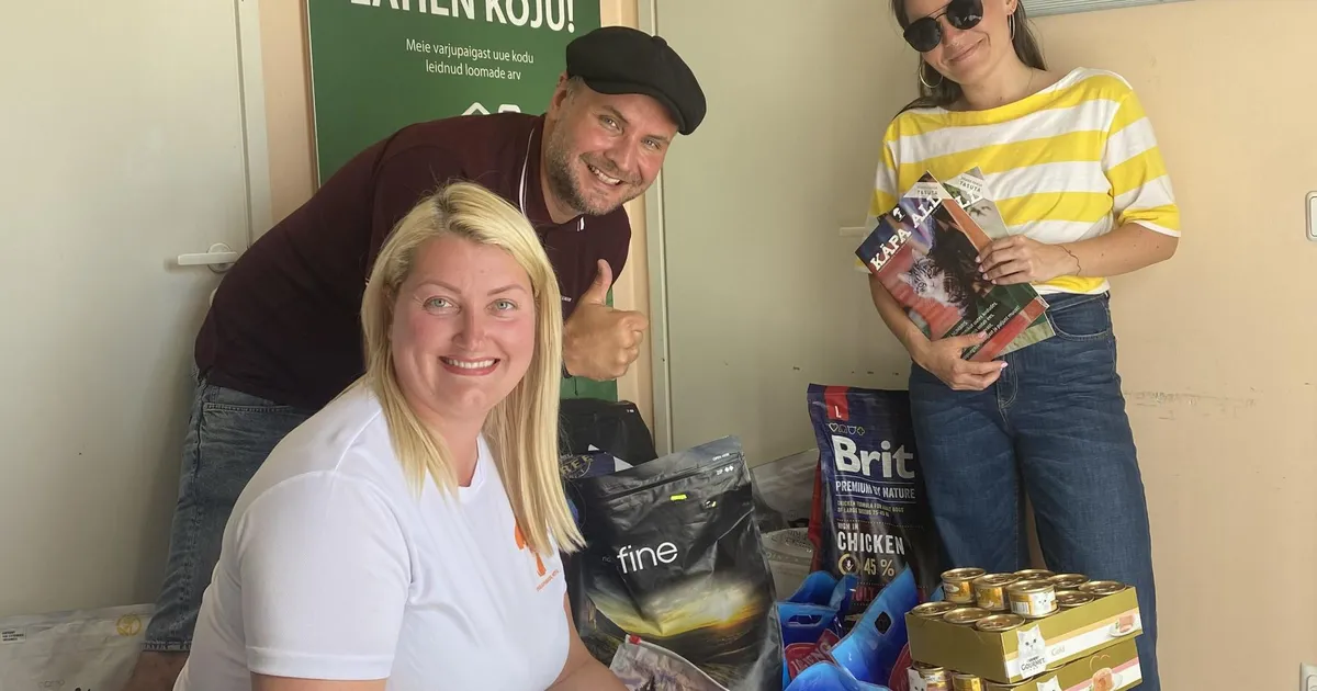 Sibyl Vane kogus tänaval mängides varjupaigale pea 700 eurot