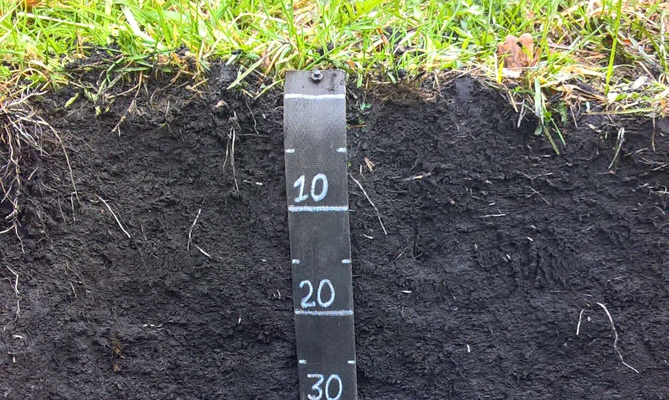 2019. aasta muld on madalsoomuld - Eesti - Postimees: Värsked uudised ...