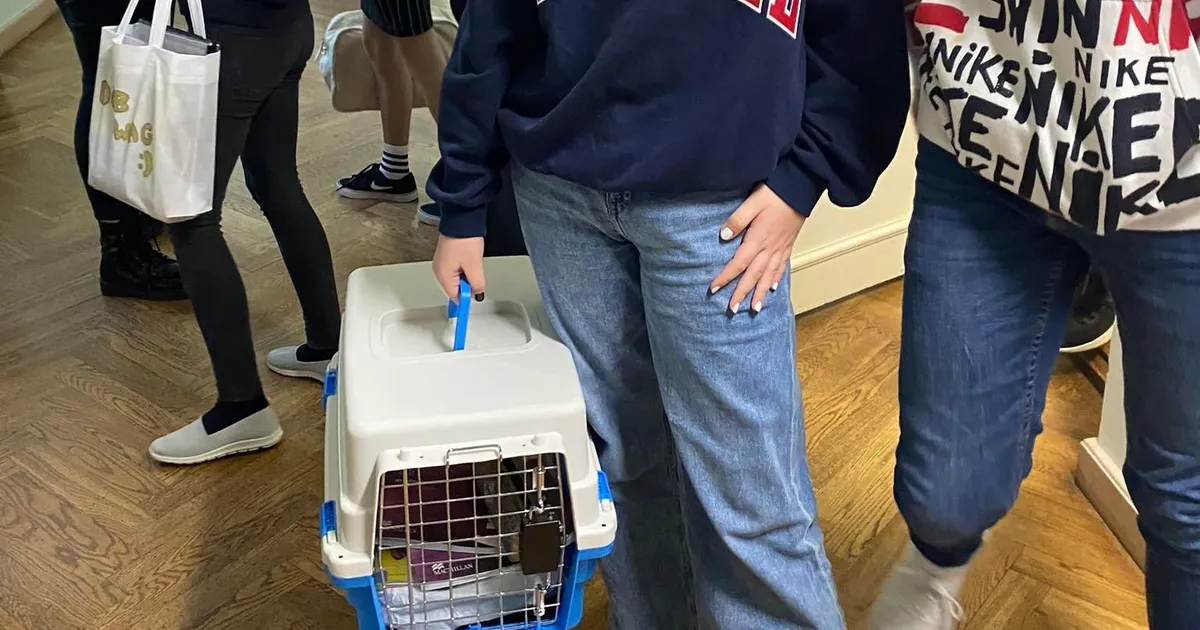 Sähvatus: koolikoti­vaba päev