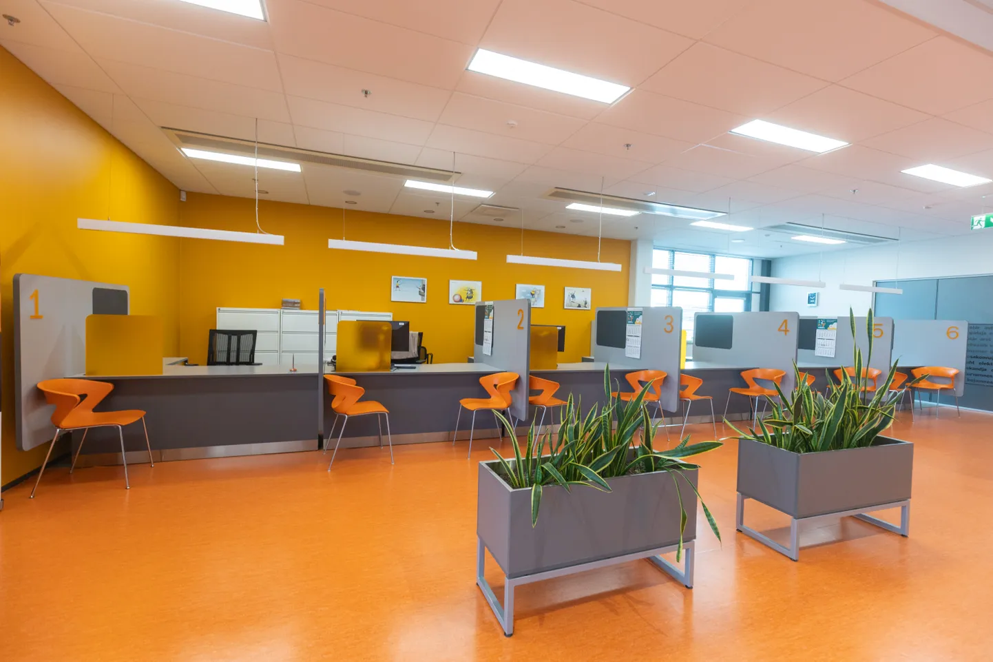 Inimesed hirmul: kas tõesti on olemas tööotsijate must nimekiri ...