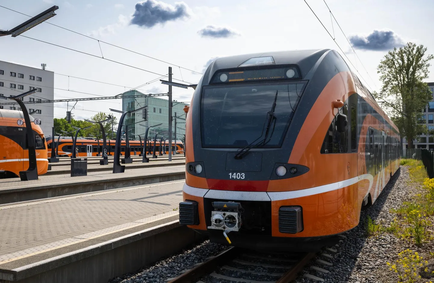 «Где заканчивается разум, там начинается железная дорога»: пассажиру ...