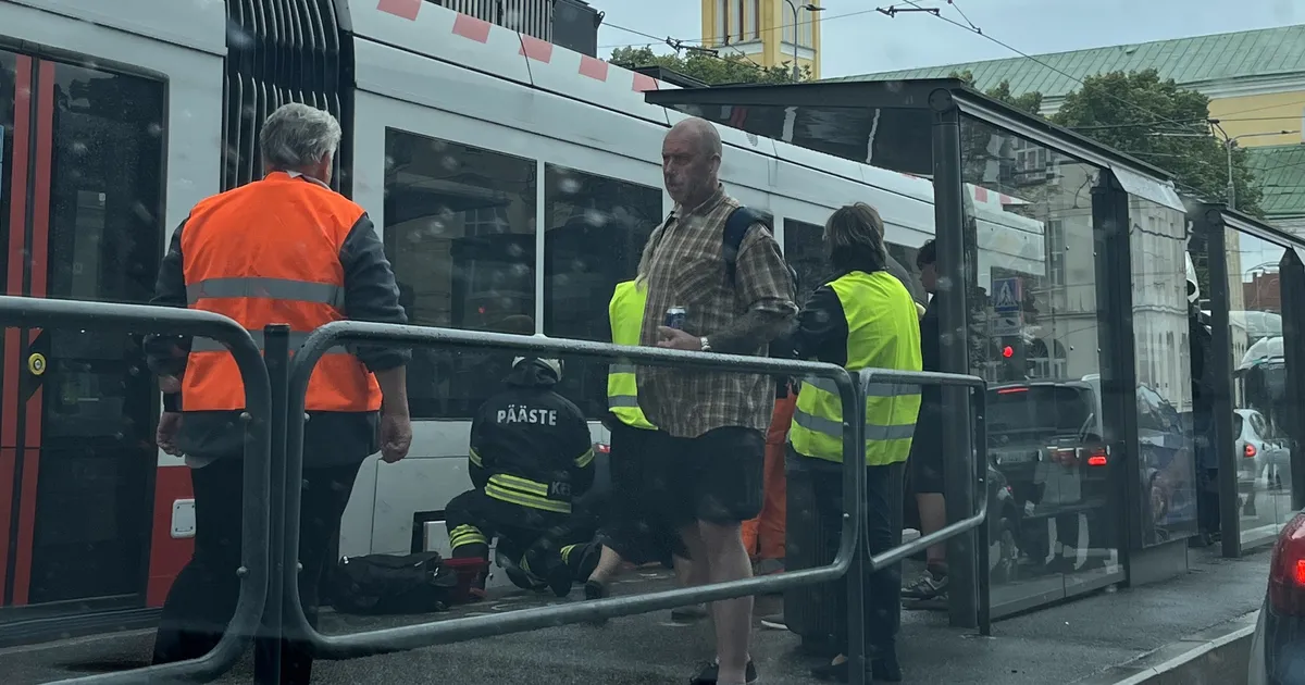 FOTOD Kass seiskas Tallinna kesklinnas trammiliikluse