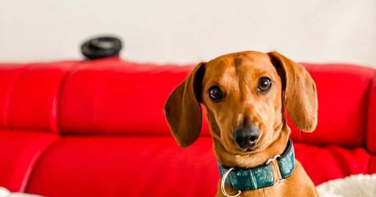 KUHU KADUS NOSSU? Pärnus kadunud taksi leidmiseks ulatuslikud otsingud ...