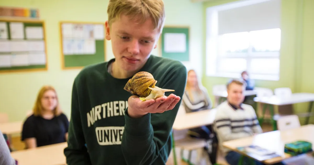Haljala kool on koduks aafrika hiidtigudele