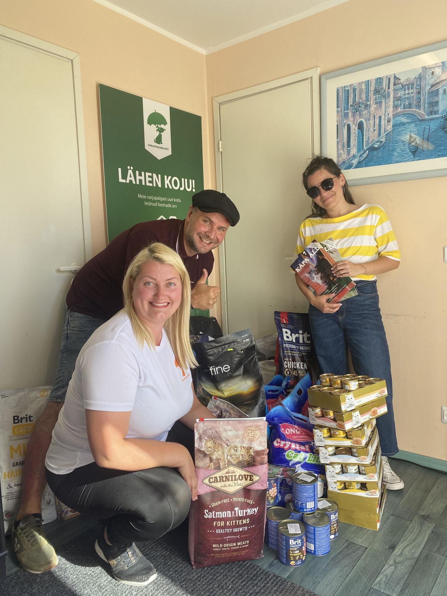 Sibyl Vane kogus tänaval mängides varjupaigale pea 700 eurot