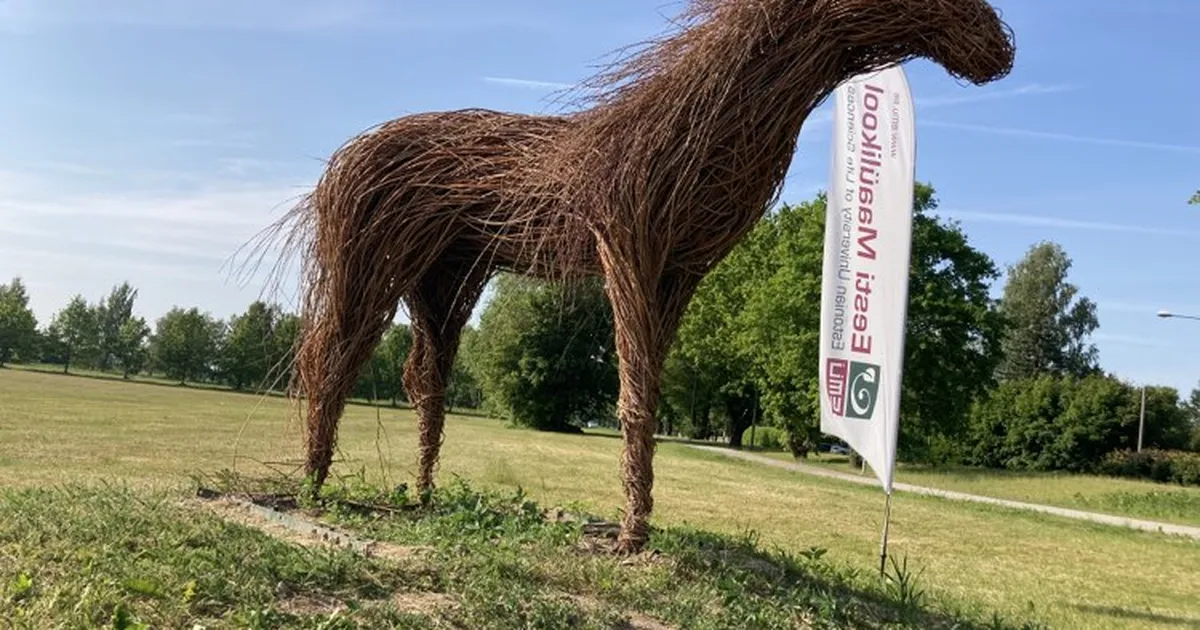 Maaülikooli lõpetab järjekordne lend loomaarste