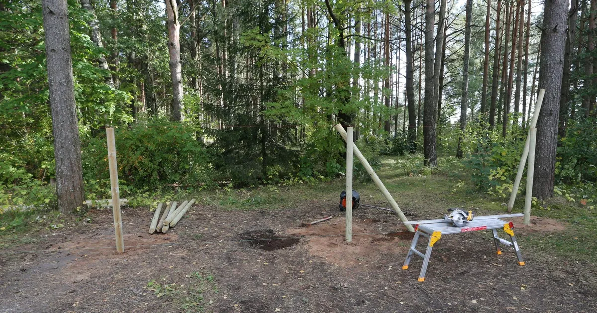 VIDEO Ihaste tänavatel ekselnud metskits proovis meeleheitlikult saada ...