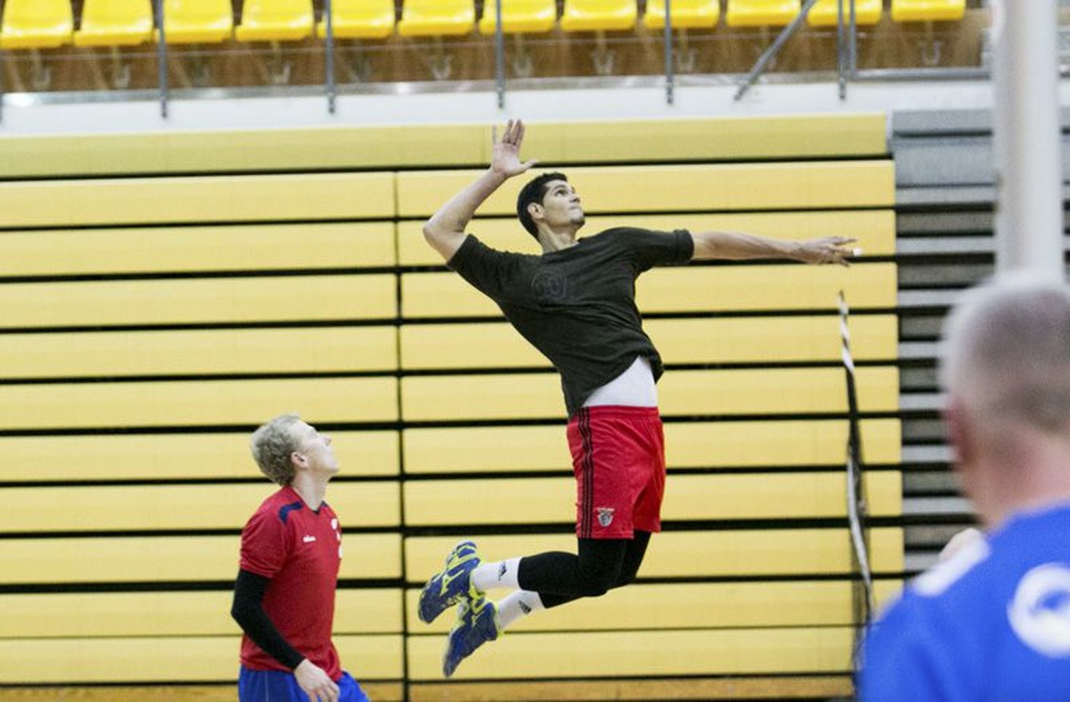 Rakvere Võrkpalliklubil nädalavahetusest kotis kaks võitu