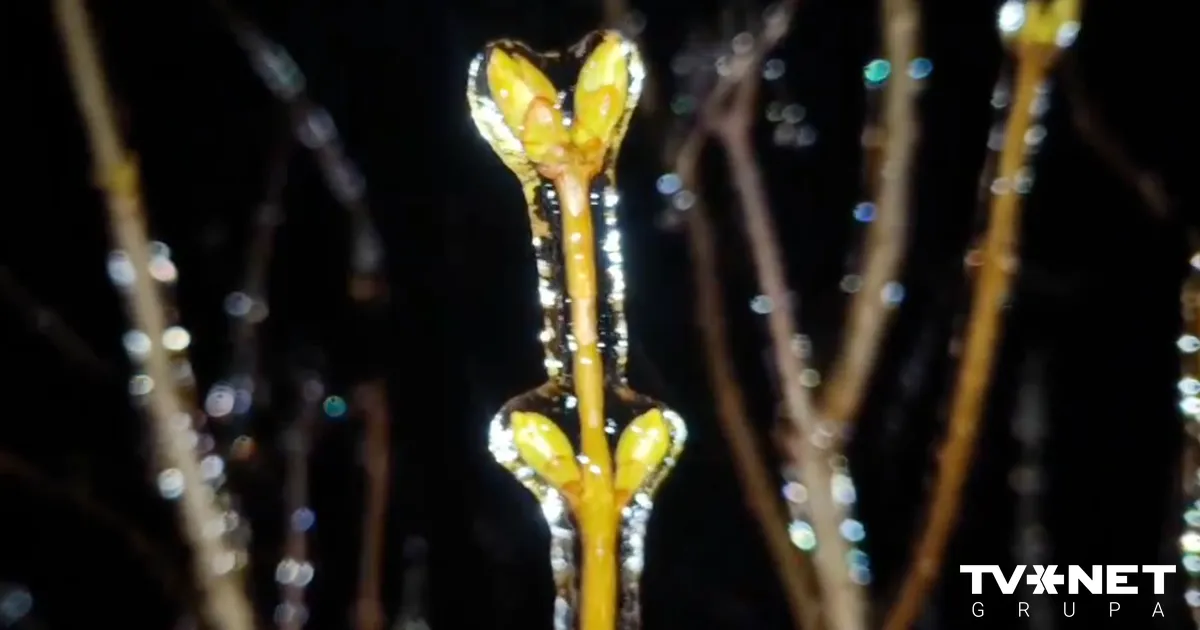 FOTO UN VIDEO "Sirreāli." Iedzīvotājus šorīt pārsteigusi spēcīga atkala ...