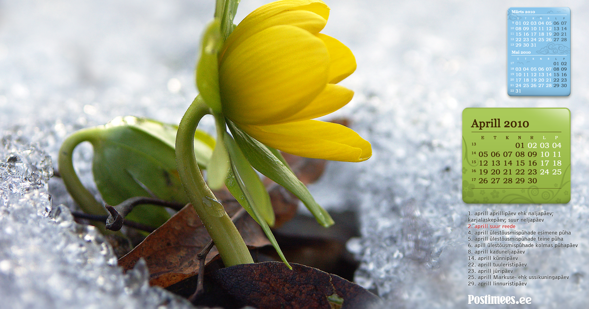 Aprilli kalender - Postimees: Värsked uudised Eestist ja välismaalt