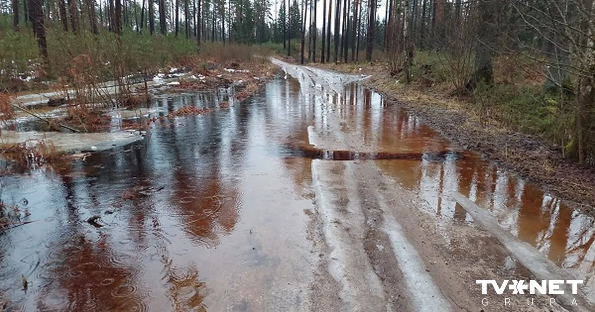 Visos LVM reģionos applūduši vai bojāti meža ceļa posmi