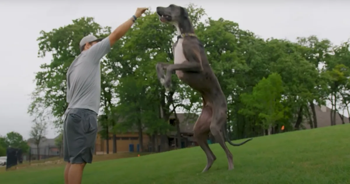 TÕELINE HIIGLANE Guinnessi rekordi värske omanik: loe, kui palju sööb ...