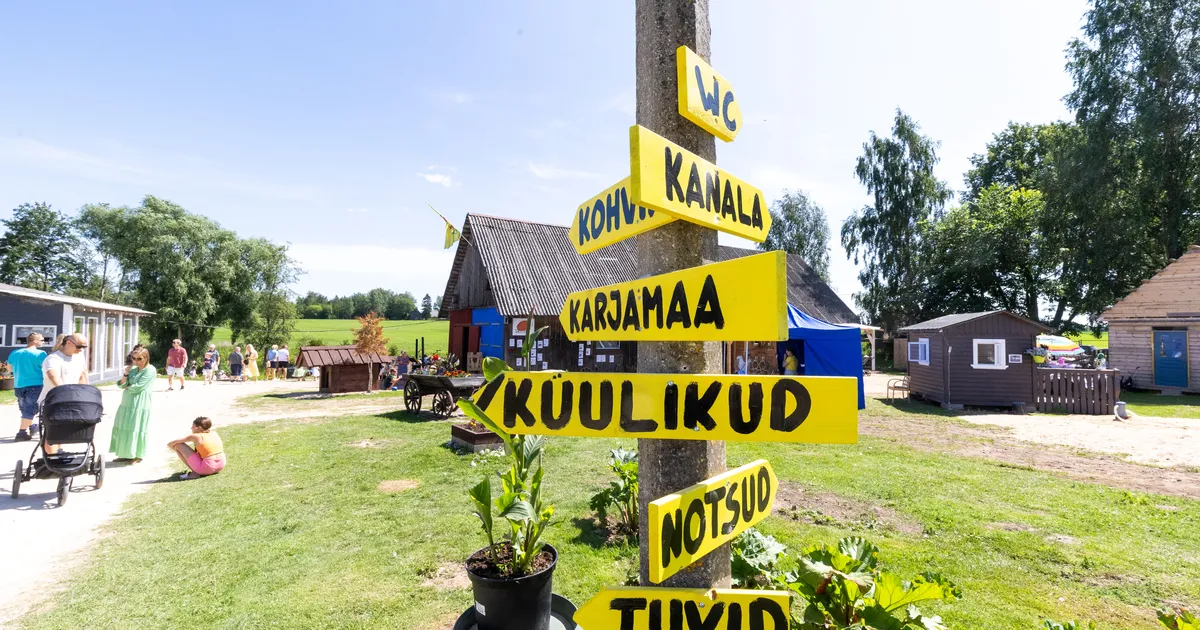 Mida teha ja kuhu minna nädalalõpul?
