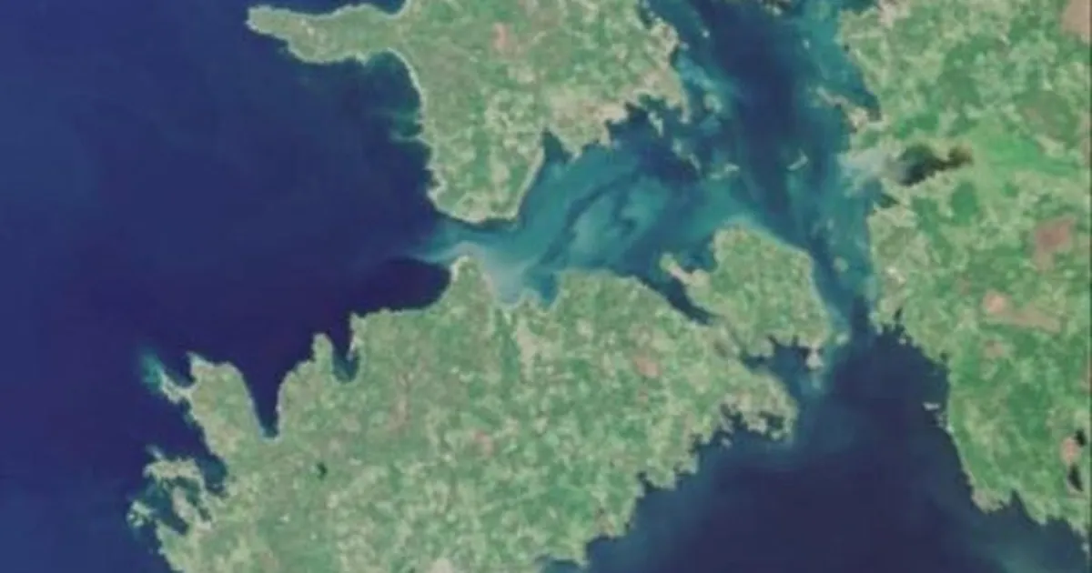 Saaremaa ümber vohab sinivetikas