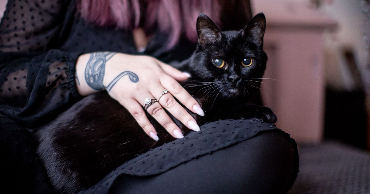 MUSTA KASSI MAAGIA Kuju muutnud nõid või doktorikraadita terapeut?