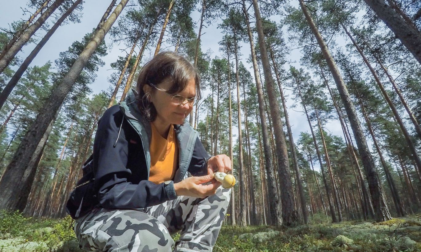 Pilvik – ainus seen, mida on mõtet metsas suhu pista - Eesti ...