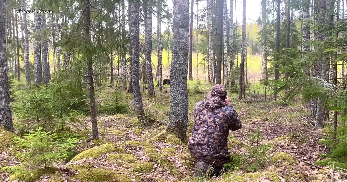 Loodusfotograafid Peeter Karask ja Oliver Kruve sattusid karuga silmitsi