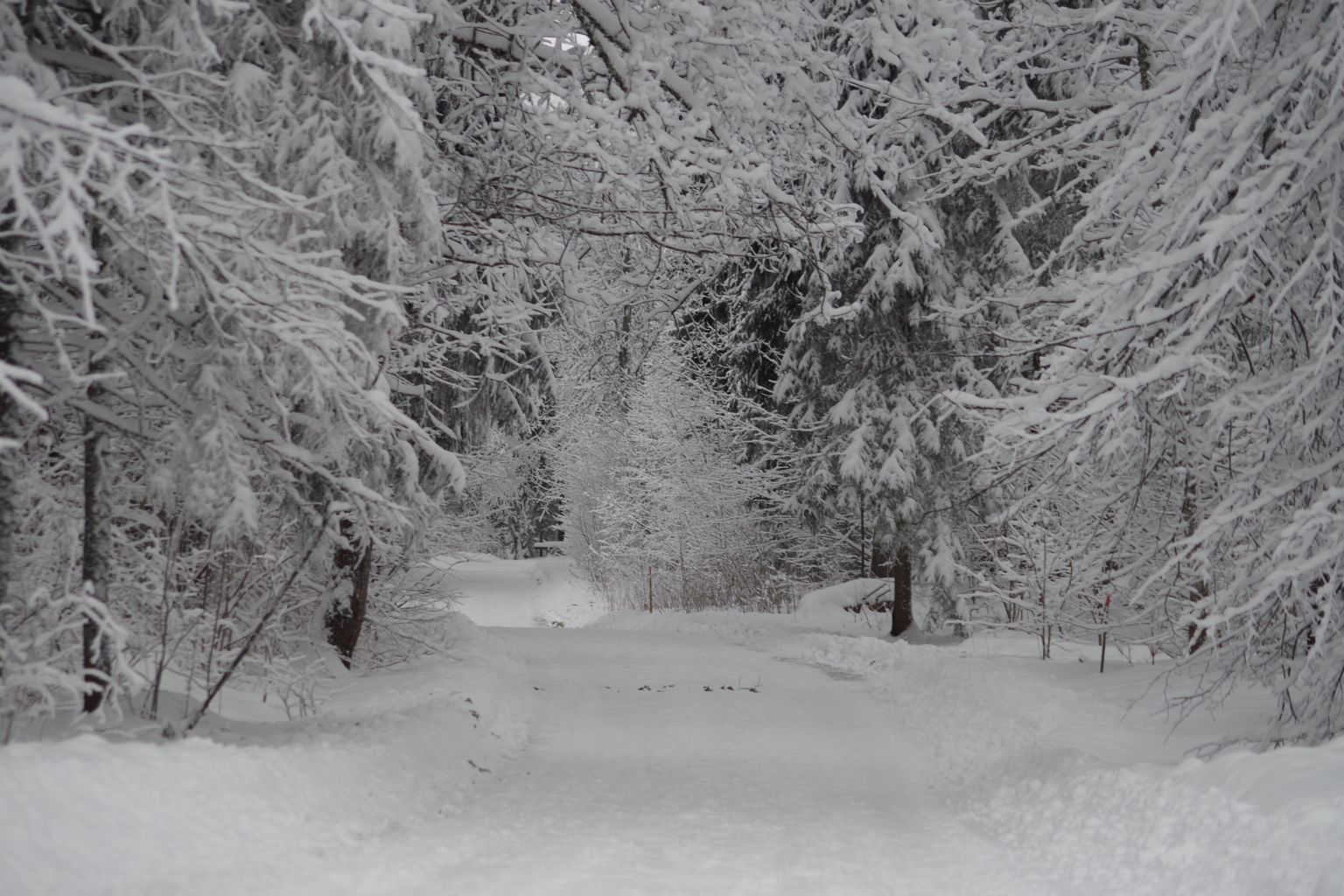 Teisipäeval tuleb kuni seitse kraadi külma