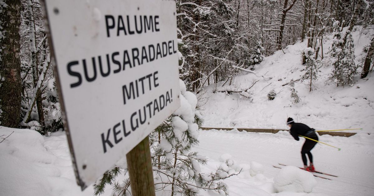 JAAK TEPPAN - Postimees: Värsked uudised Eestist ja välismaalt