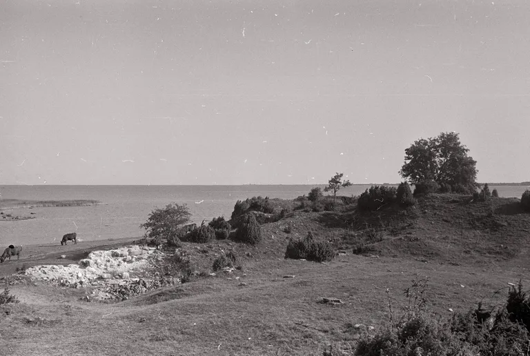 70NDAD Veretöö Maasilinnal ehk Legend mõrvari kujutisest ohvri silmis