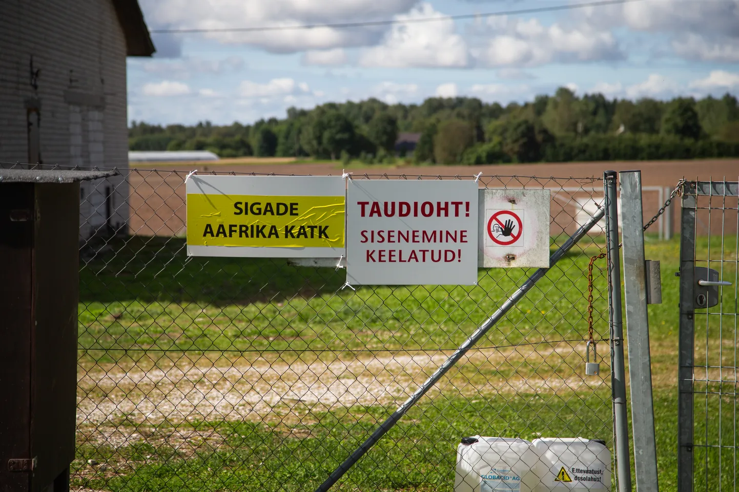 Kliimaministeerium plaanib muuta jahieeskirja sigade Aafrika katku ...