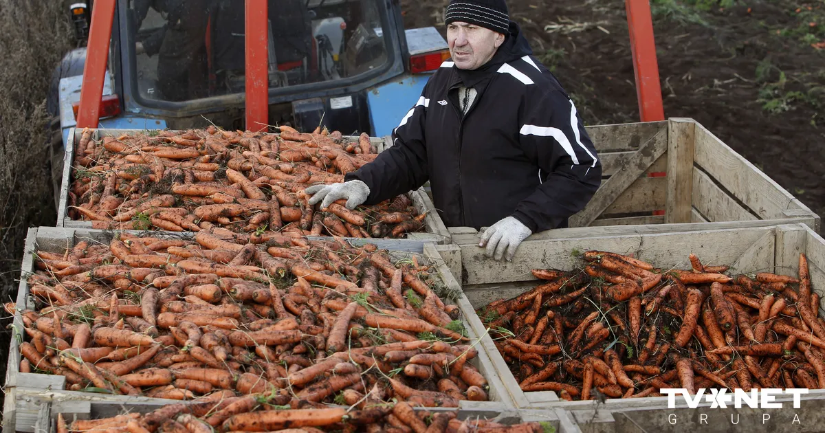 ES valstis atbalsta jaunus tarifus vairākiem Krievijas produktiem