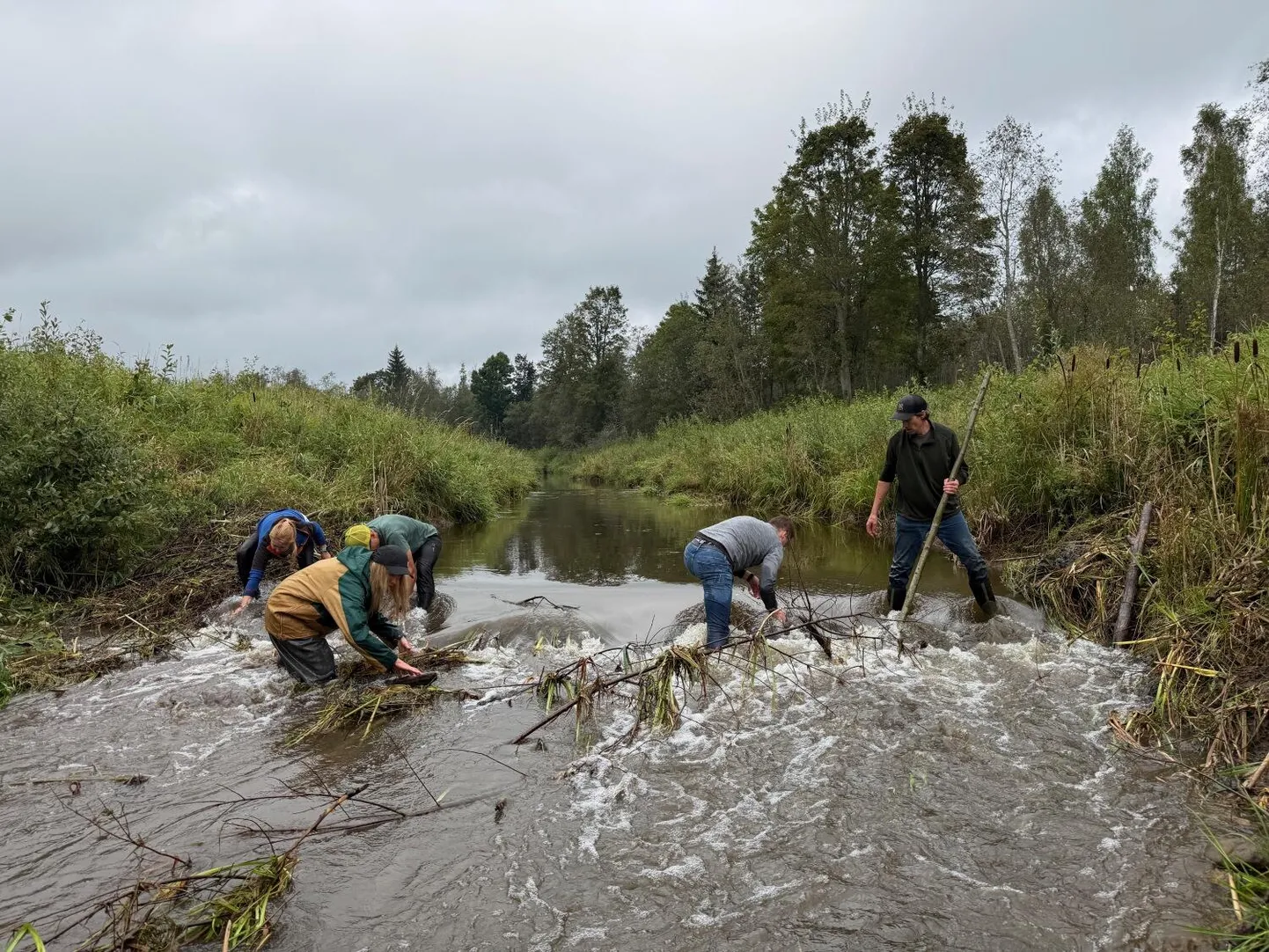 Ceļā uz atbrīvotām Latvijas upēm: zivis var migrēt un ekosistēmas ...