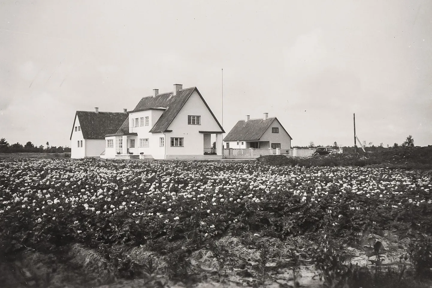 AEGRUUM Eesti parimale kirjanikule ehitatud Lagle «loss»
